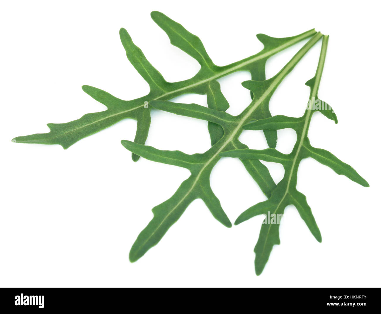 Fresh arugula or rucola leaves over white background Stock Photo - Alamy
