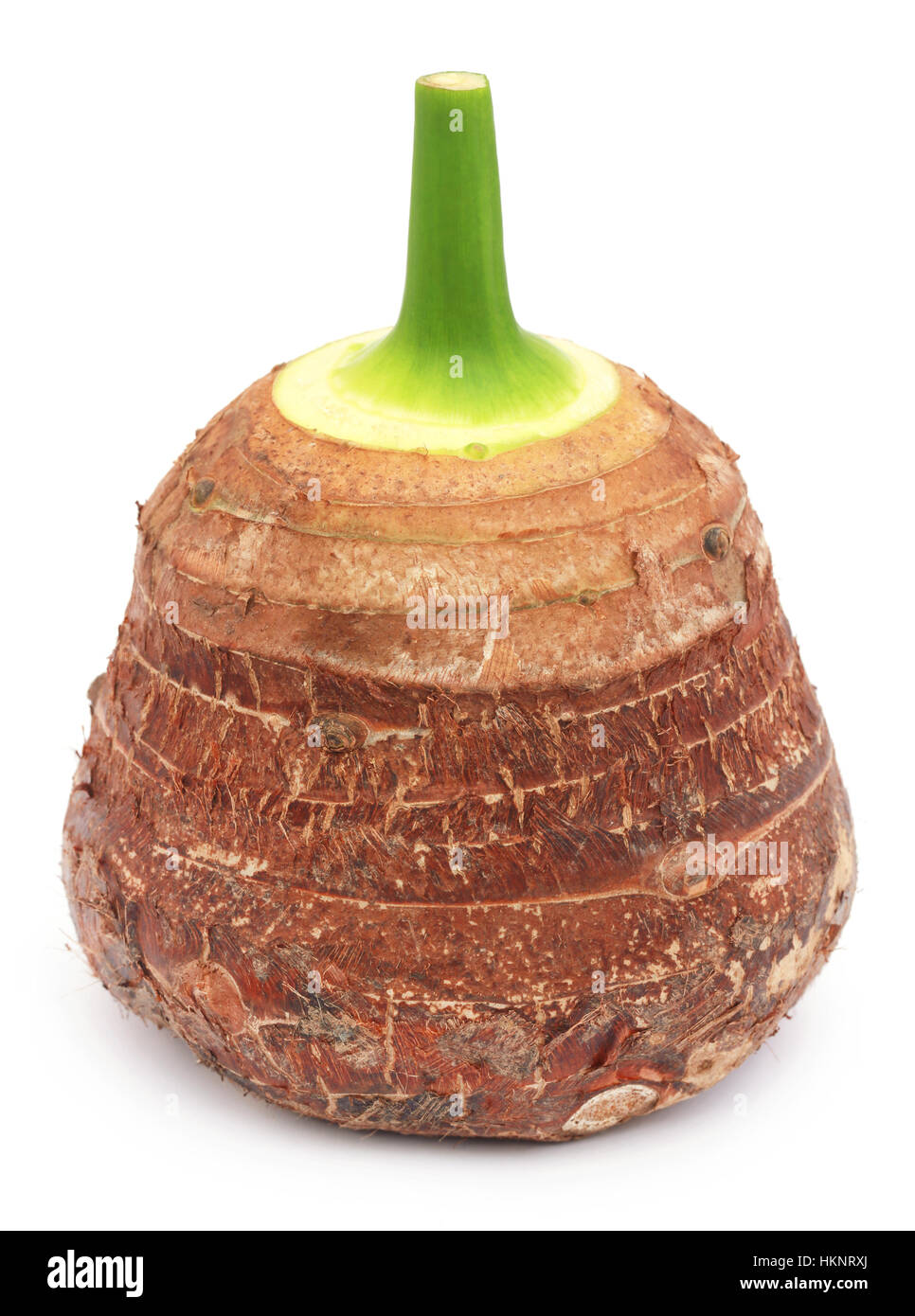Edible root of colocasia over white background Stock Photo - Alamy