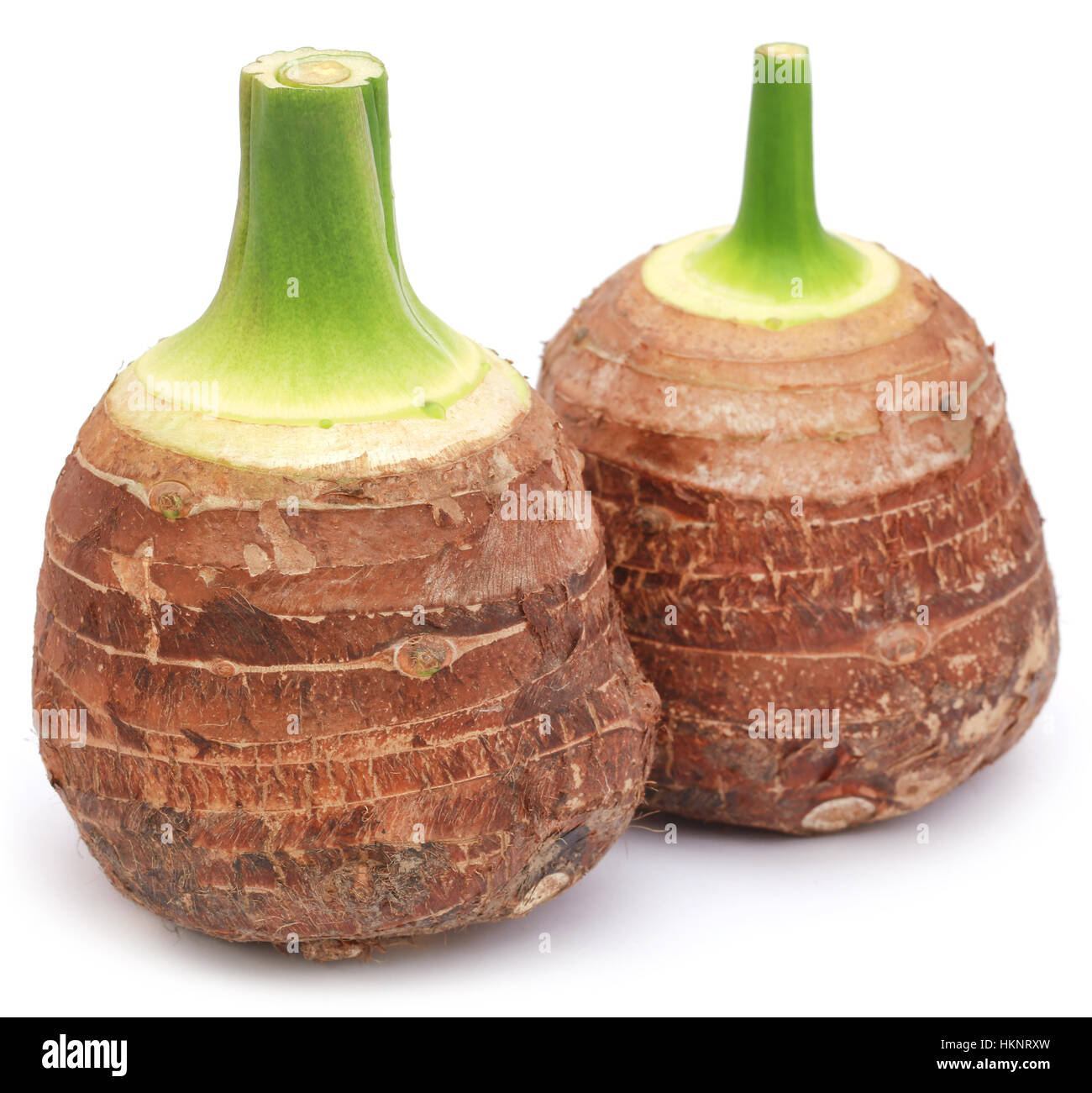 Edible root of colocasia over white background Stock Photo - Alamy