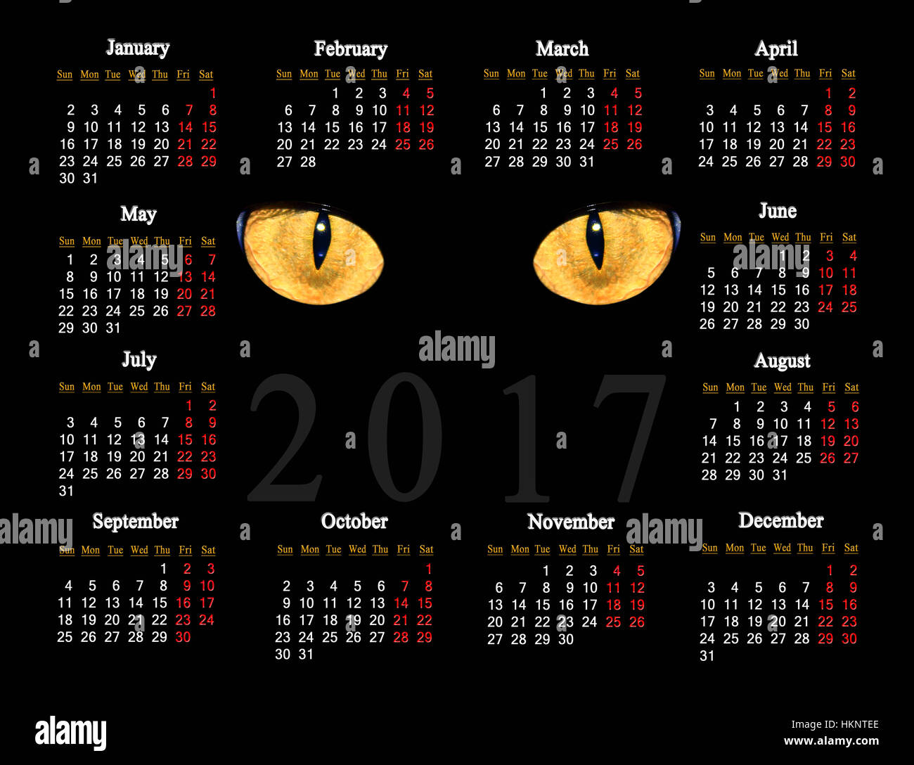 beautiful black calendar for 2017 with cat eyes Stock Photo - Alamy