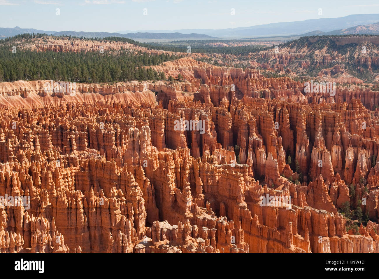 Bryce brown hi-res stock photography and images - Alamy