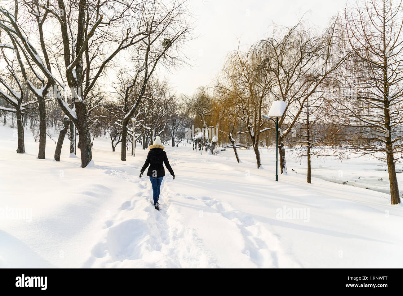 Girl Walking Through Winter Snow In Park Stock Photo - Alamy