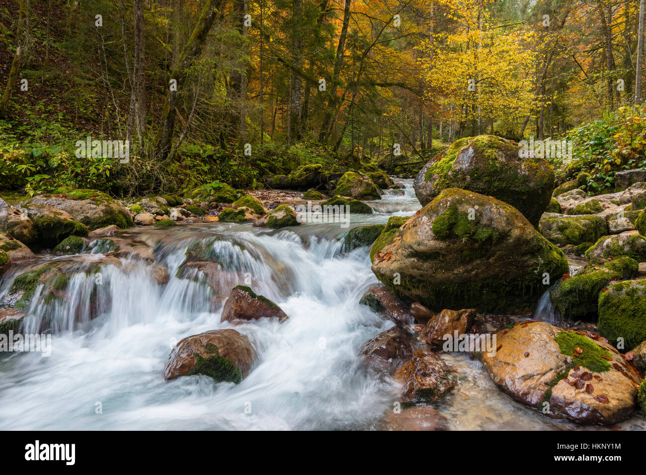 Hammersbach, stream, Grainau, Garmisch, Garmisch-Partenkirchen, Upper ...