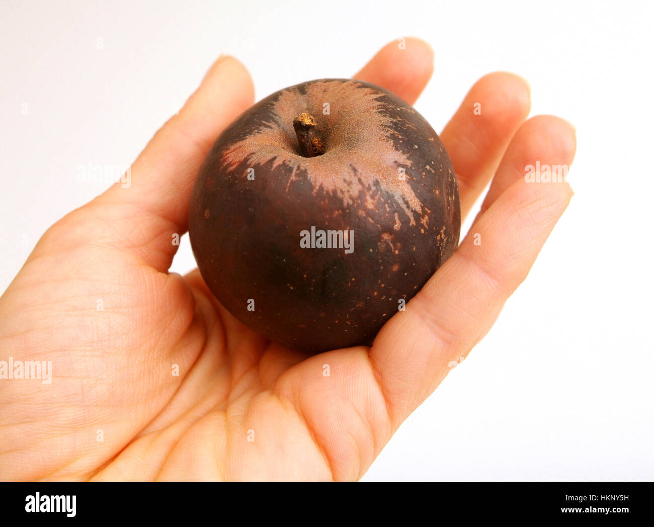 Rotten apple in hand Stock Photo - Alamy