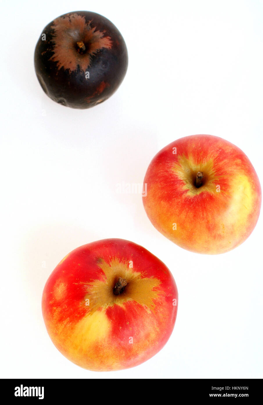 Red biological apples and a rotten apple in background Stock Photo - Alamy