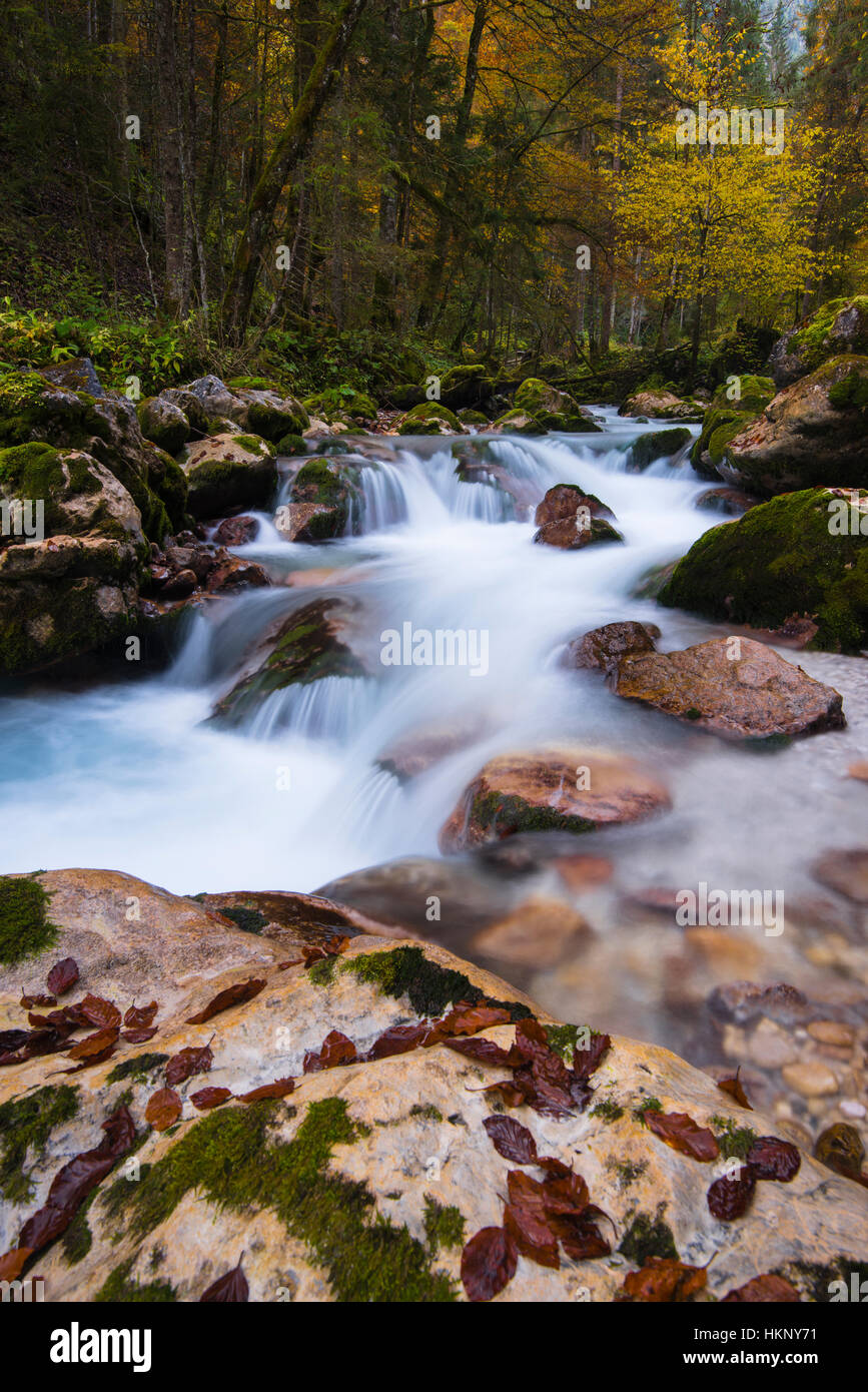 Hammersbach, stream, Grainau, Garmisch, Garmisch-Partenkirchen, Upper ...