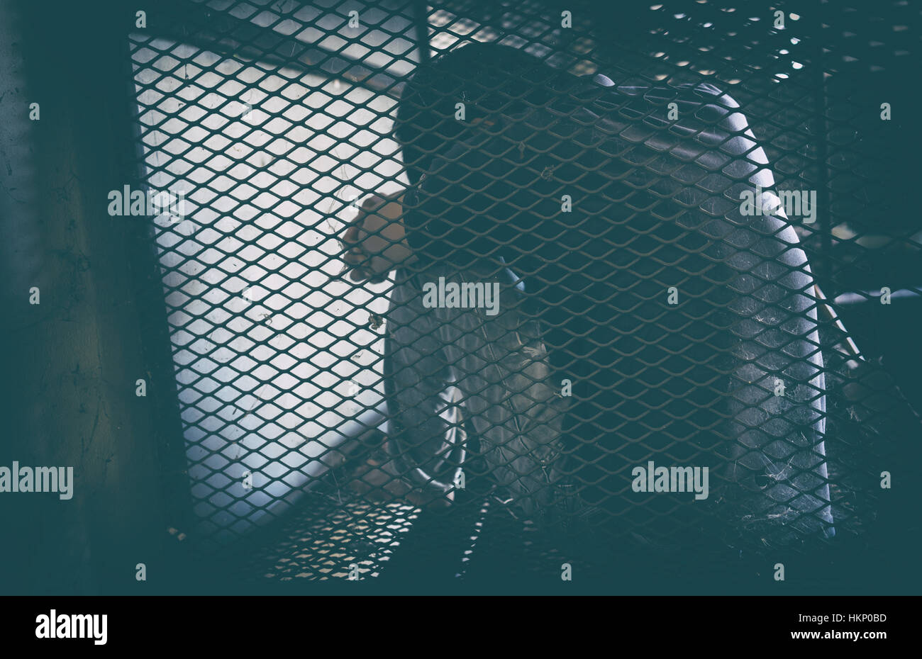 Slave cage hi-res stock photography and images - Alamy