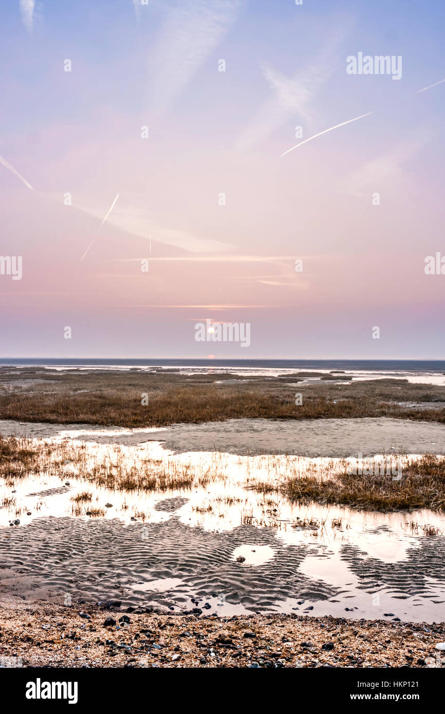 English cordgrass hi-res stock photography and images - Alamy