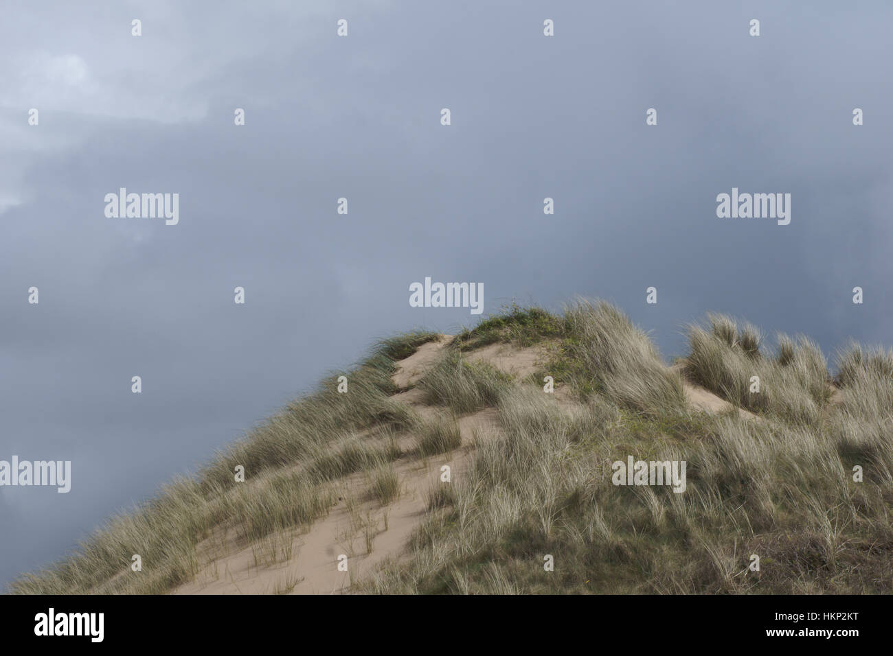 First dune hi-res stock photography and images - Alamy