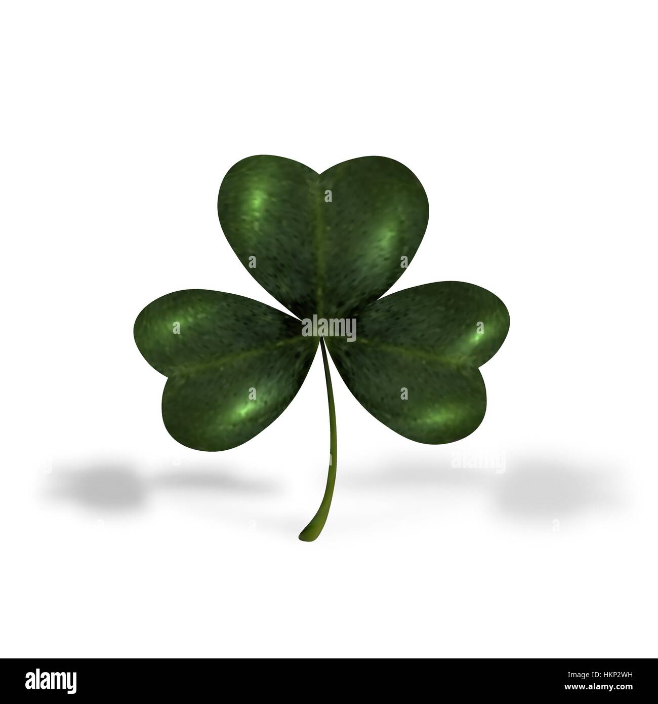 Trifoliate clover. The symbol of St. Patrick s Day. Isolated on white ...
