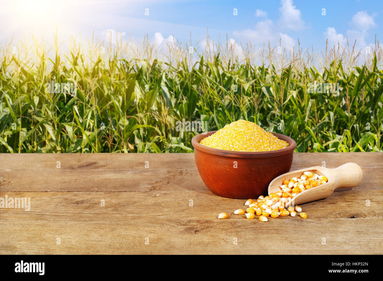 corn groats on nature background Stock Photo - Alamy