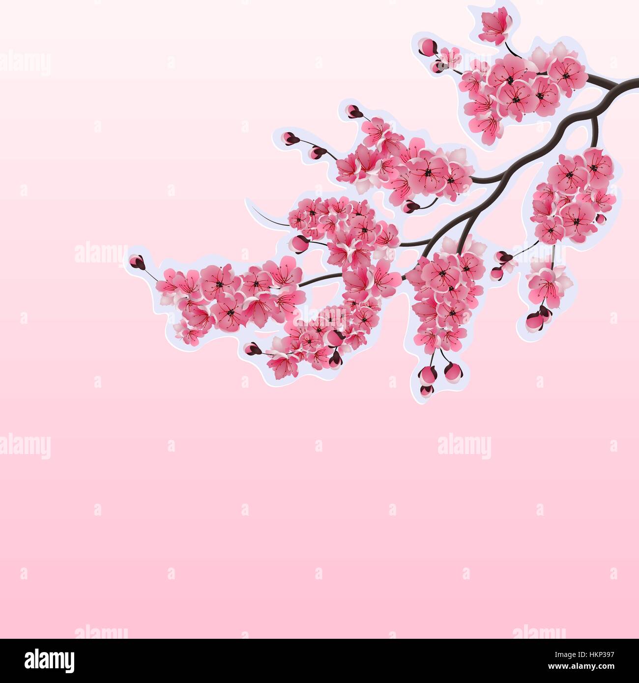 Japanese cherry blossom cut out Stock Vector Images - Alamy