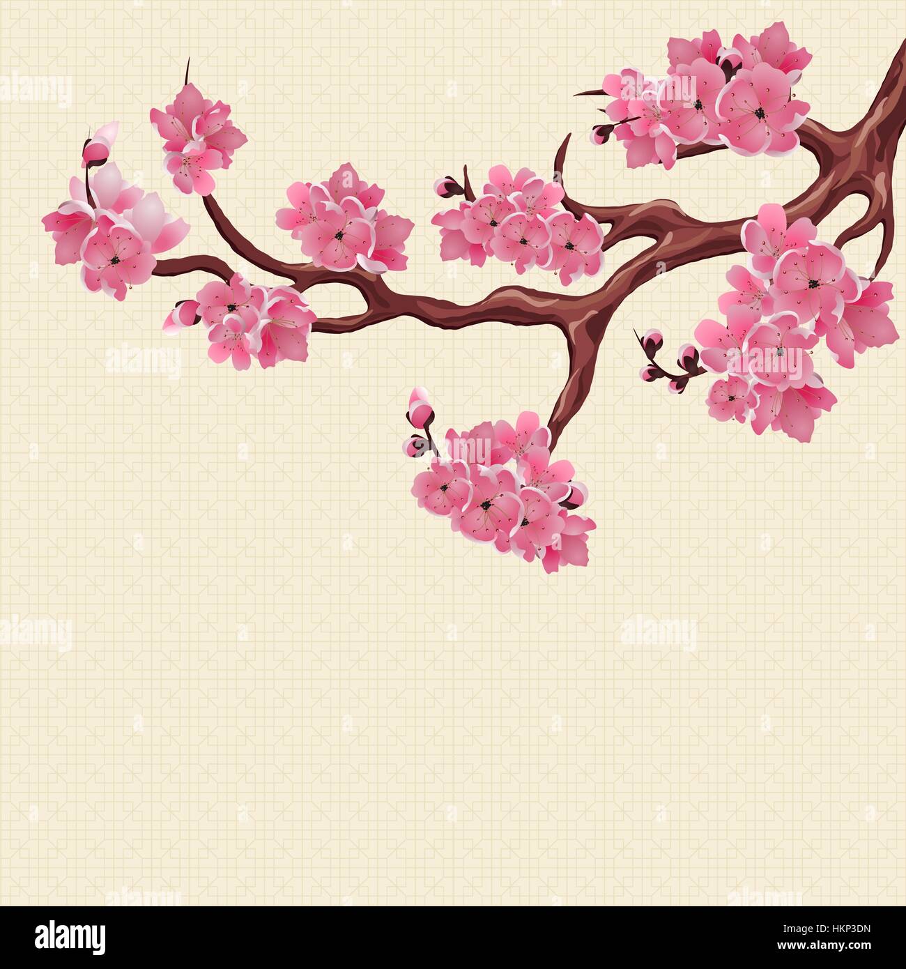 Pink rice flower Stock Vector Images - Alamy