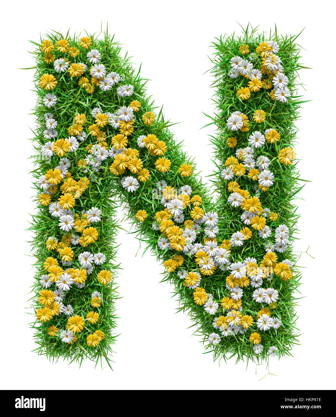 Letter n flowers hi-res stock photography and images - Alamy