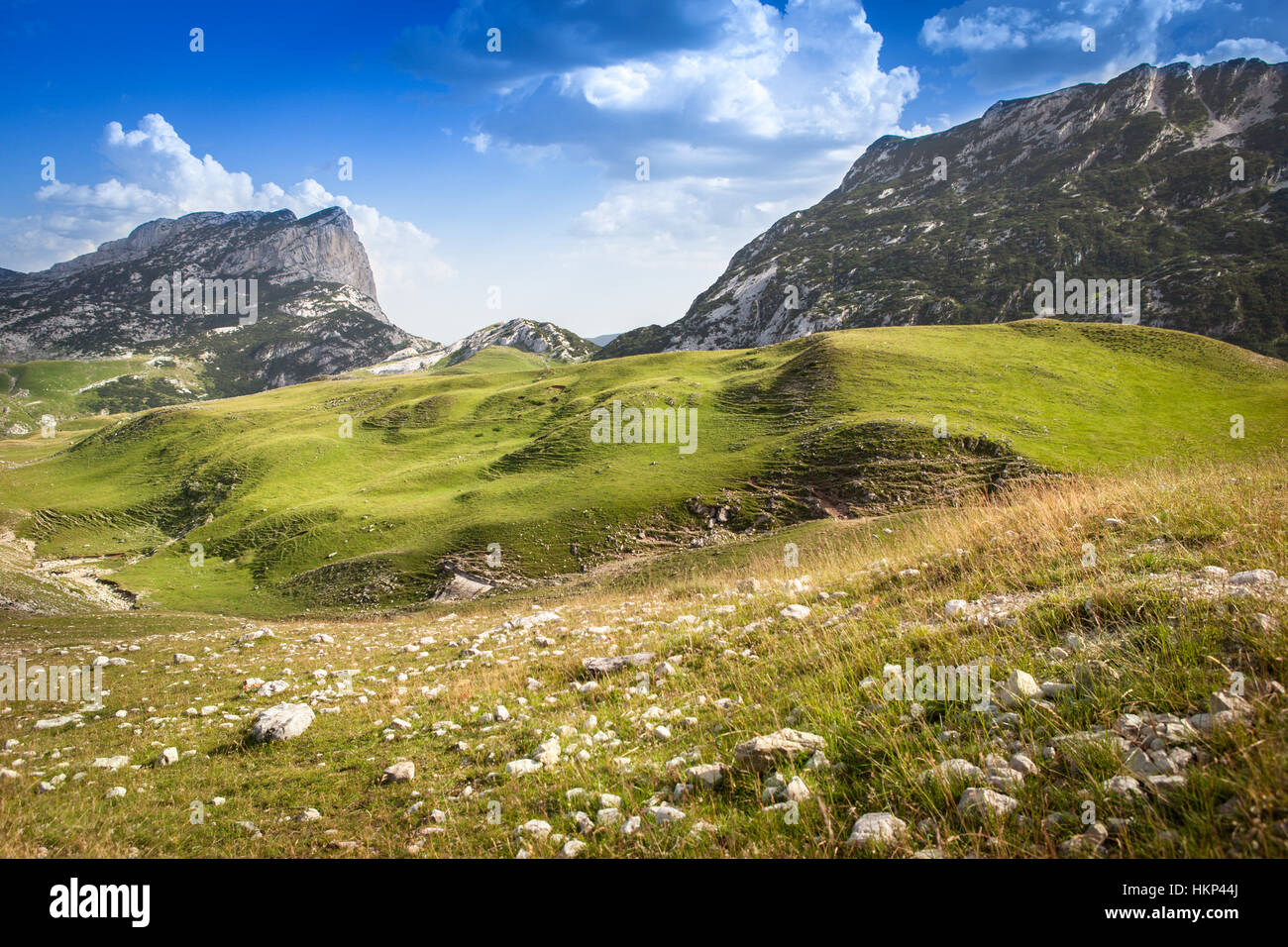 Beautiful colorful mountain landscape Stock Photo - Alamy