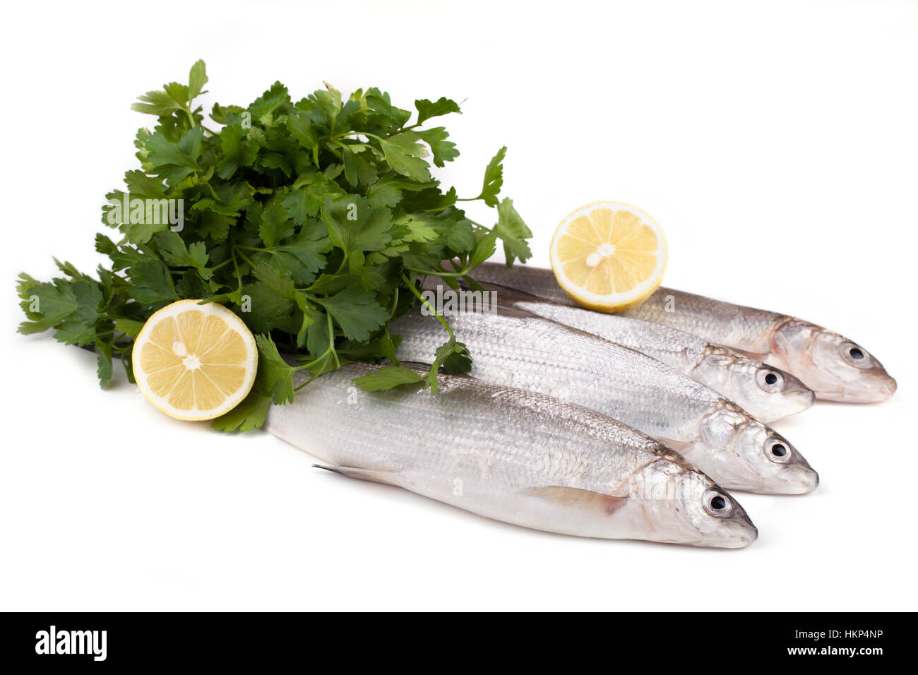 Freshwater whitefish hi-res stock photography and images - Alamy