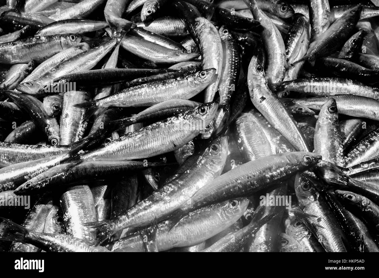 Black small fish Black and White Stock Photos & Images - Alamy