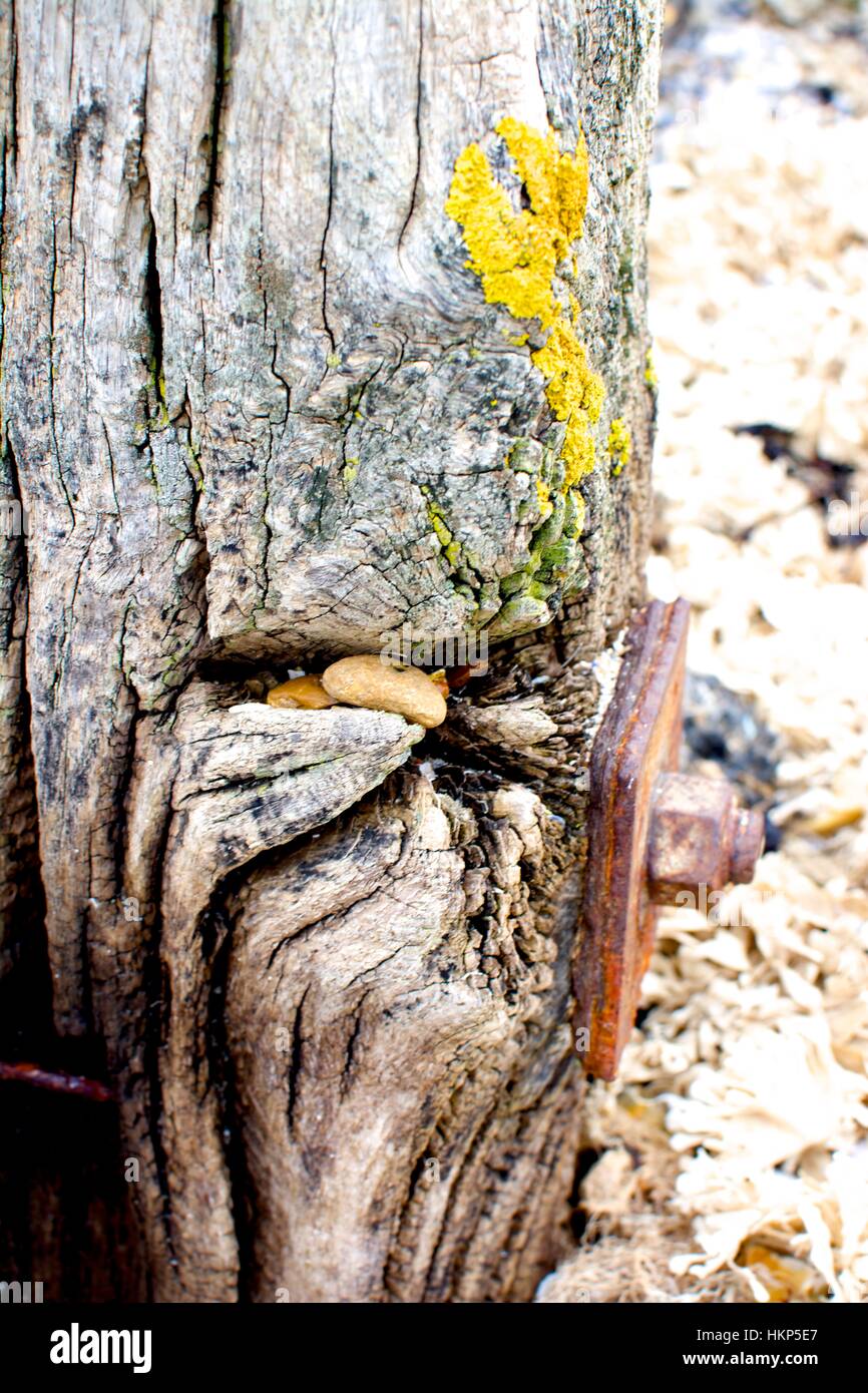 Rusty bolt, wooden post, by the sea Stock Photo - Alamy