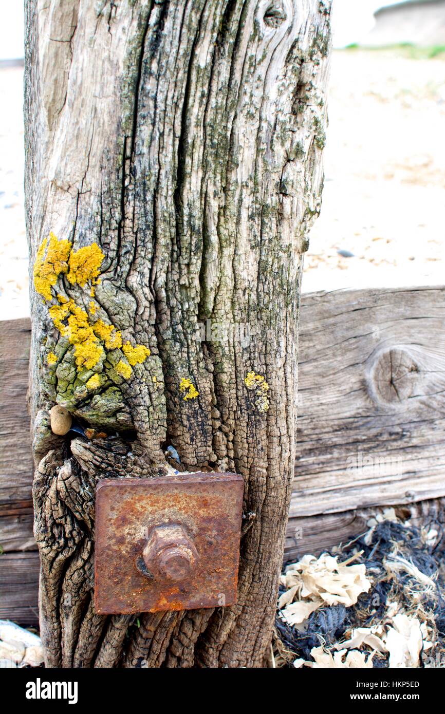 Rusty bolt and wooden post by the sea Stock Photo - Alamy