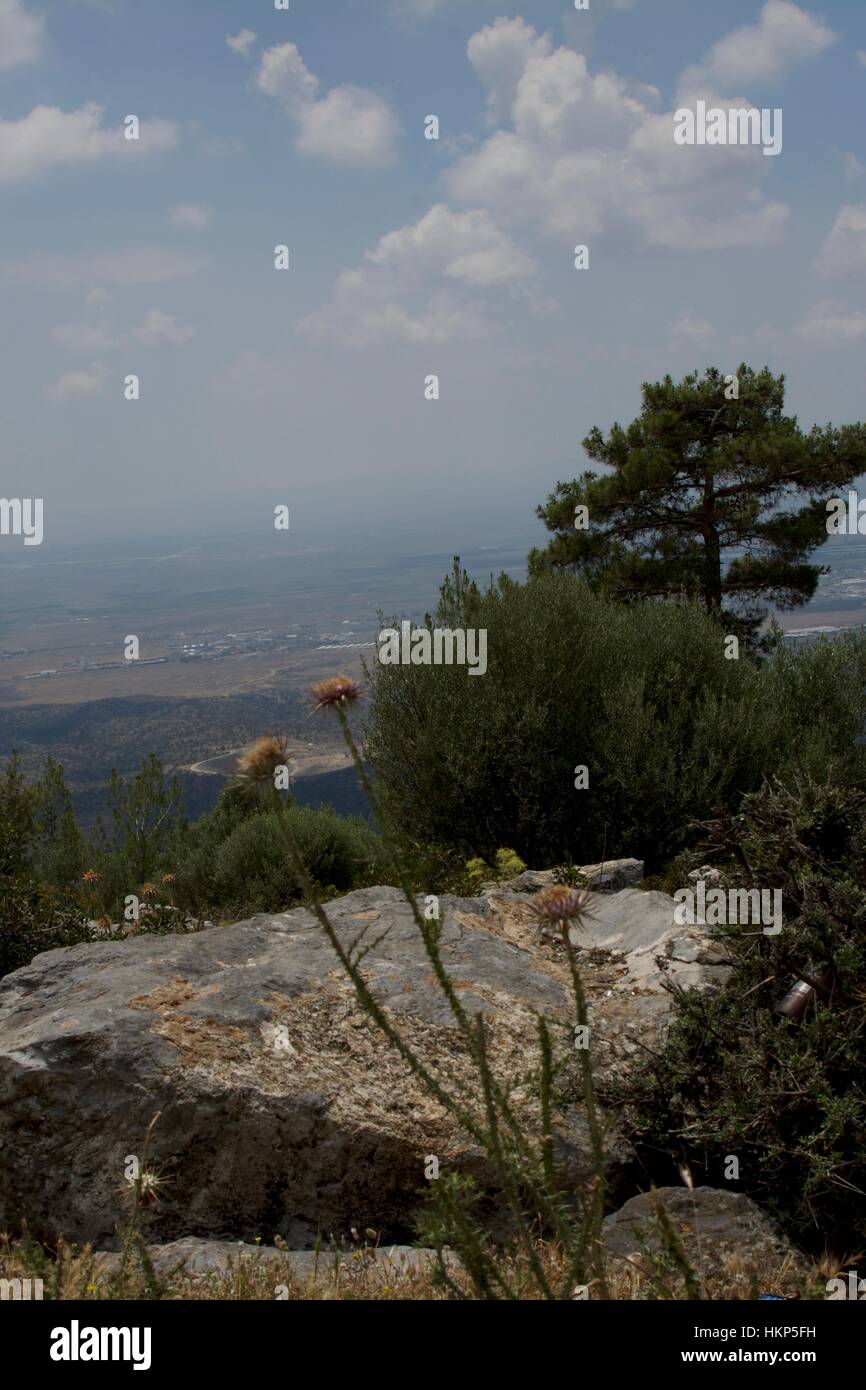 Scenic country view in Cyprus Stock Photo - Alamy