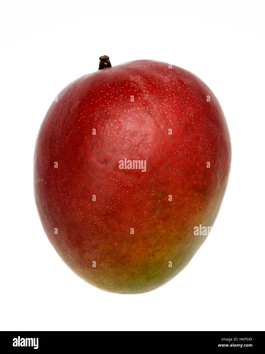 Giant Mango isolated on a white background Stock Photo - Alamy