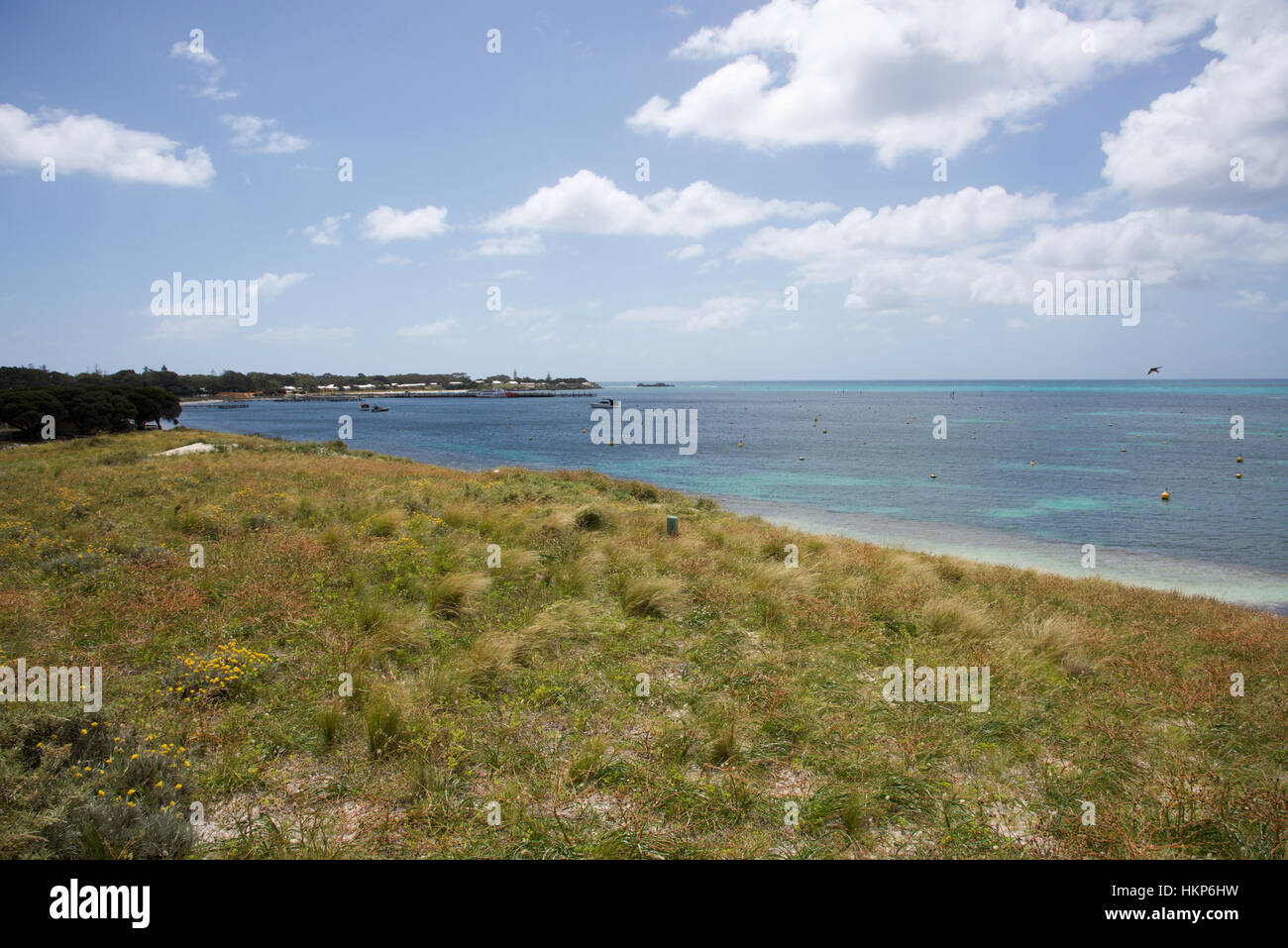 Native plants and Indian Ocean seascape with boats at Rottnest Island ...
