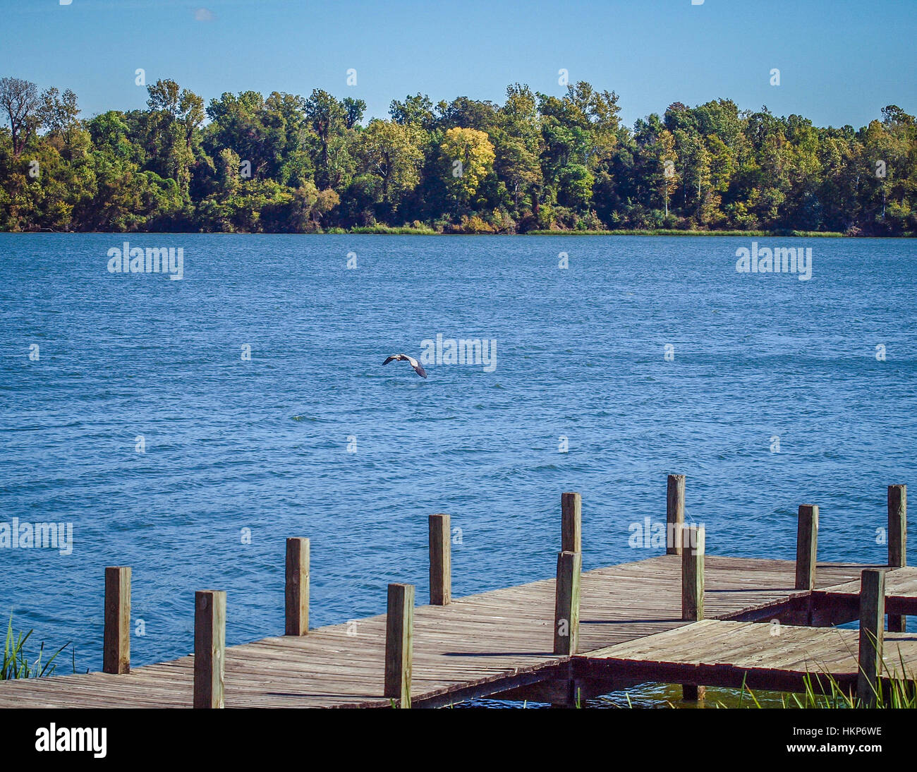 Wood dock texture hi-res stock photography and images - Alamy