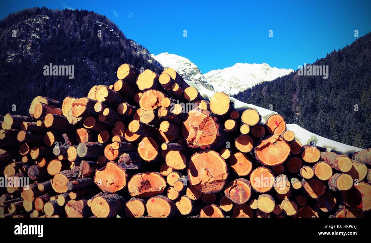 snowy mountain with the pile of cut logs with snow and antique effect ...