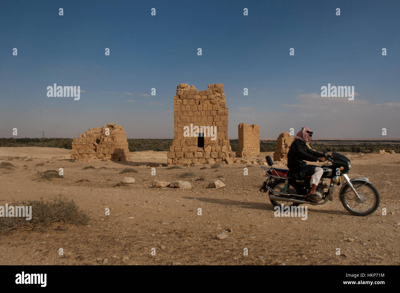 The Ancient Ruined City of Palmyra Syria Stock Photo - Alamy