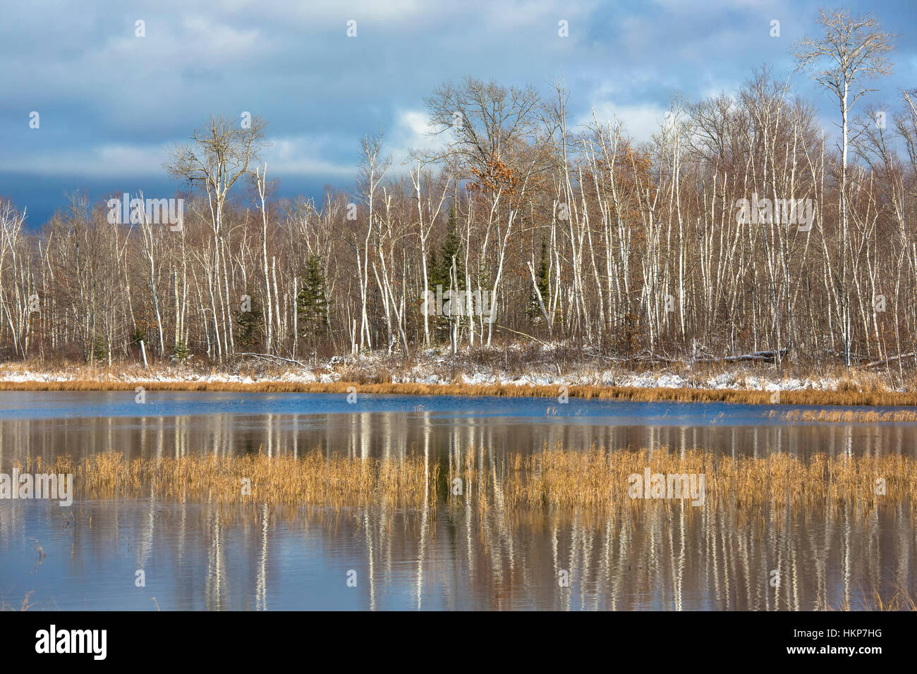 Wilderness lake in northern Wisconsin Stock Photo - Alamy