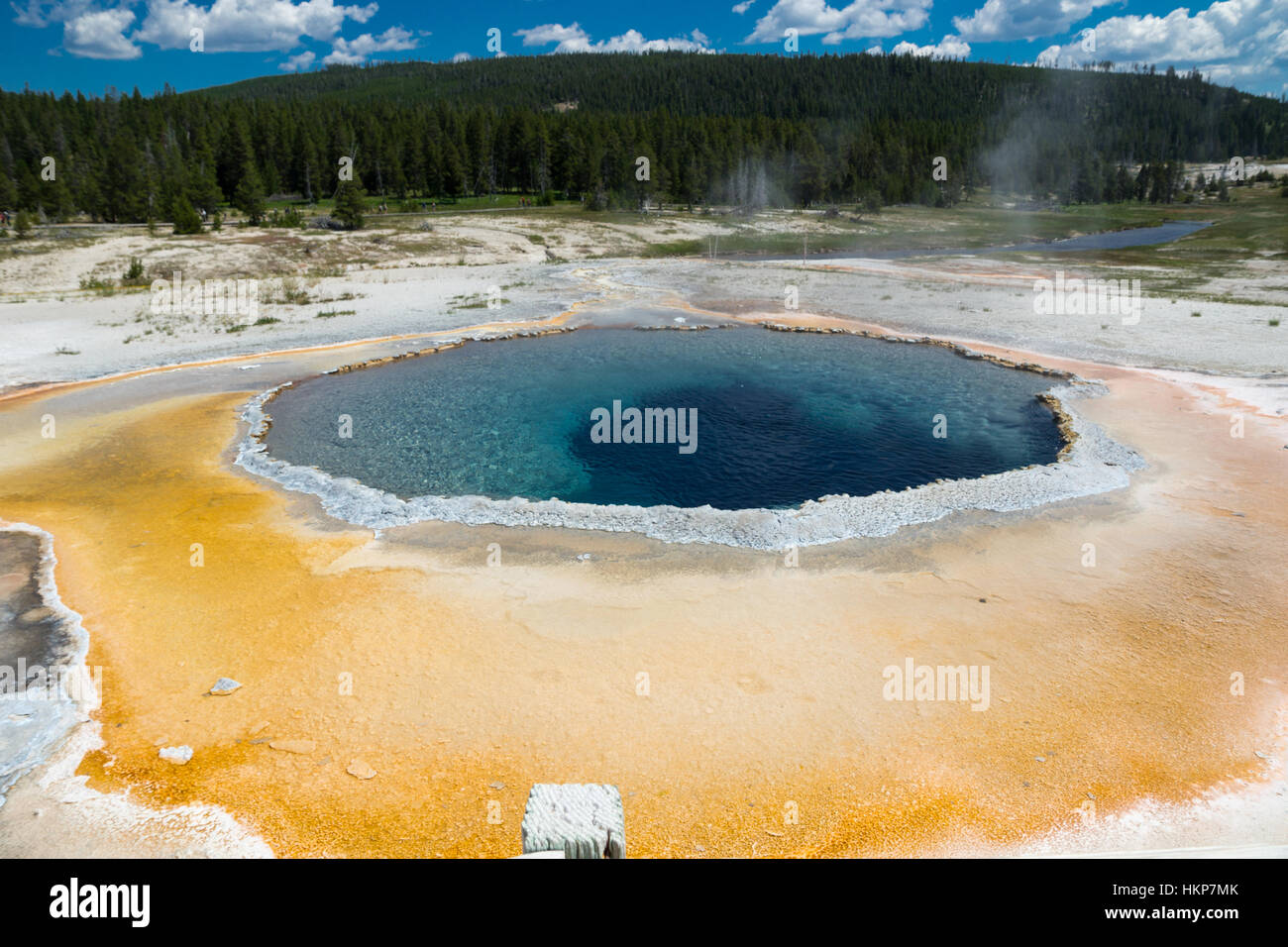Wildlife and geyser hi-res stock photography and images - Alamy