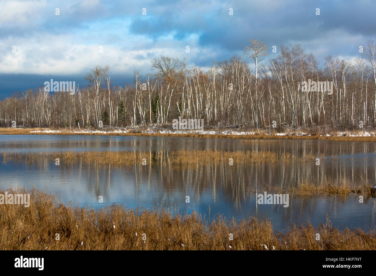 Wilderness lake in northern Wisconsin Stock Photo - Alamy