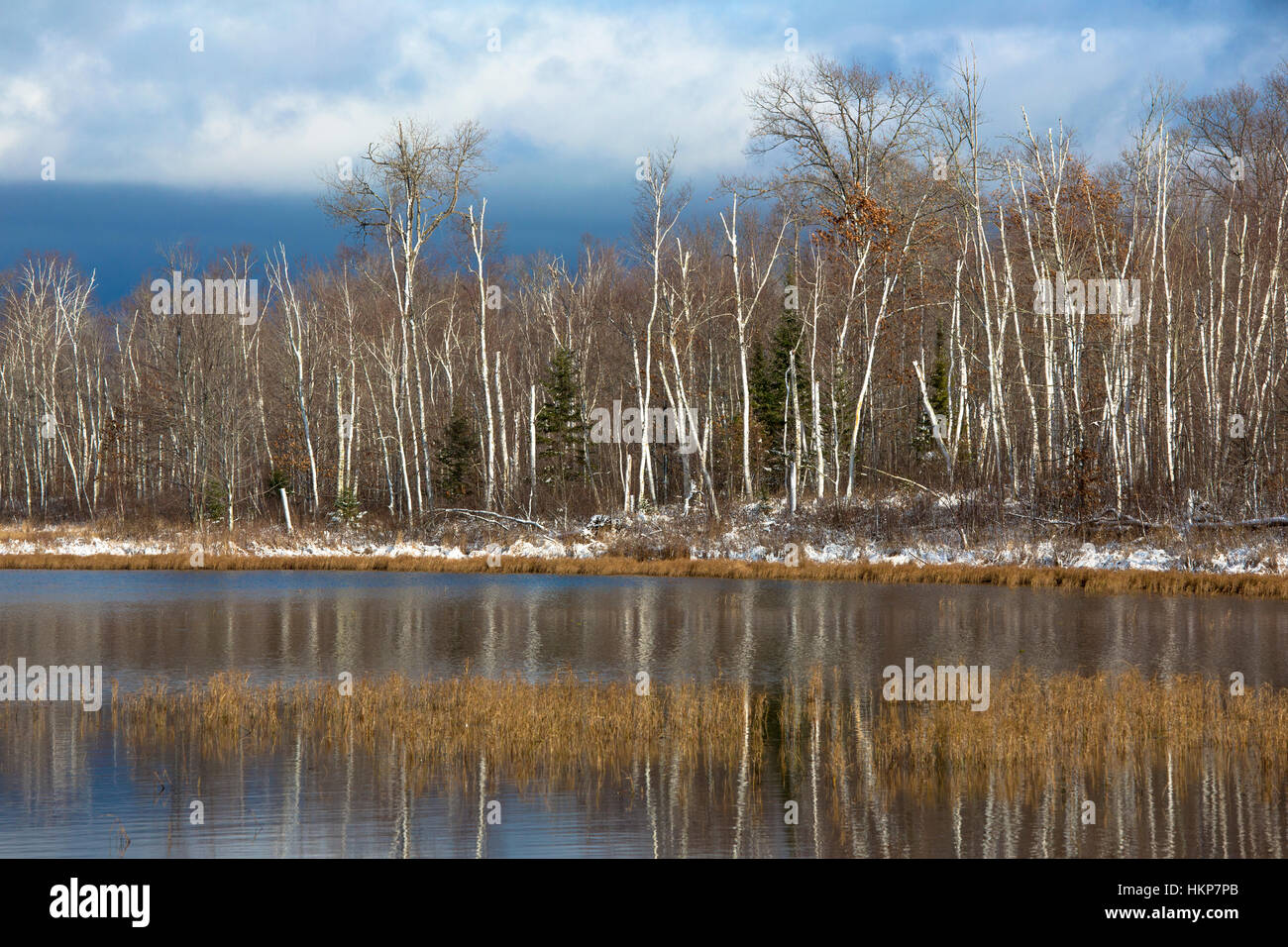 Wilderness lake in northern Wisconsin Stock Photo - Alamy
