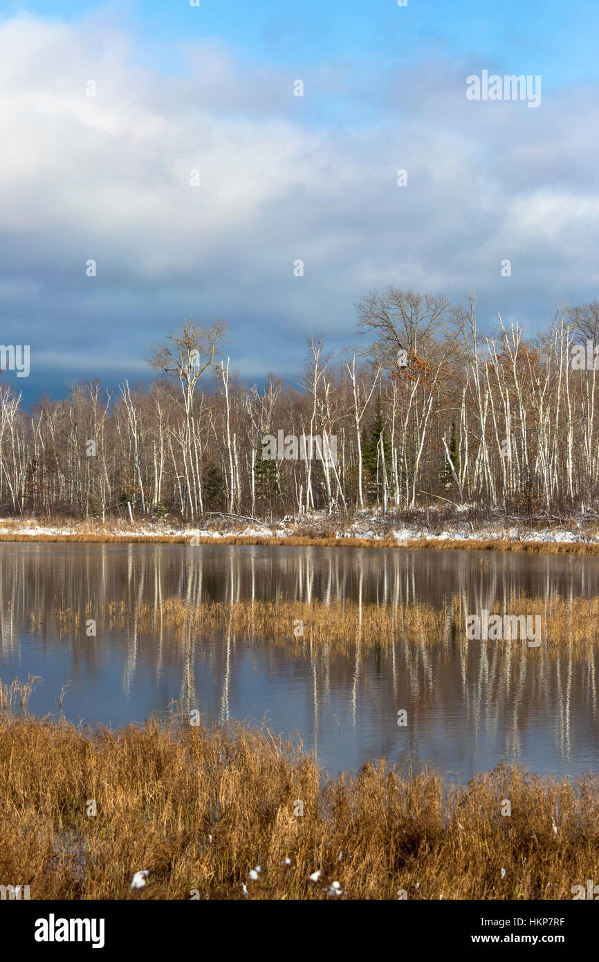 Wilderness lake in northern Wisconsin Stock Photo - Alamy