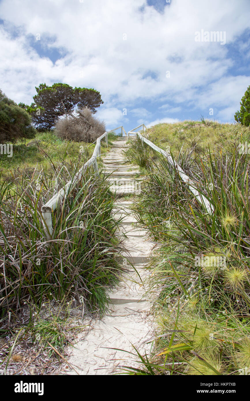 Steep sandy footpath with railing through the grassy dunes at Rottnest ...