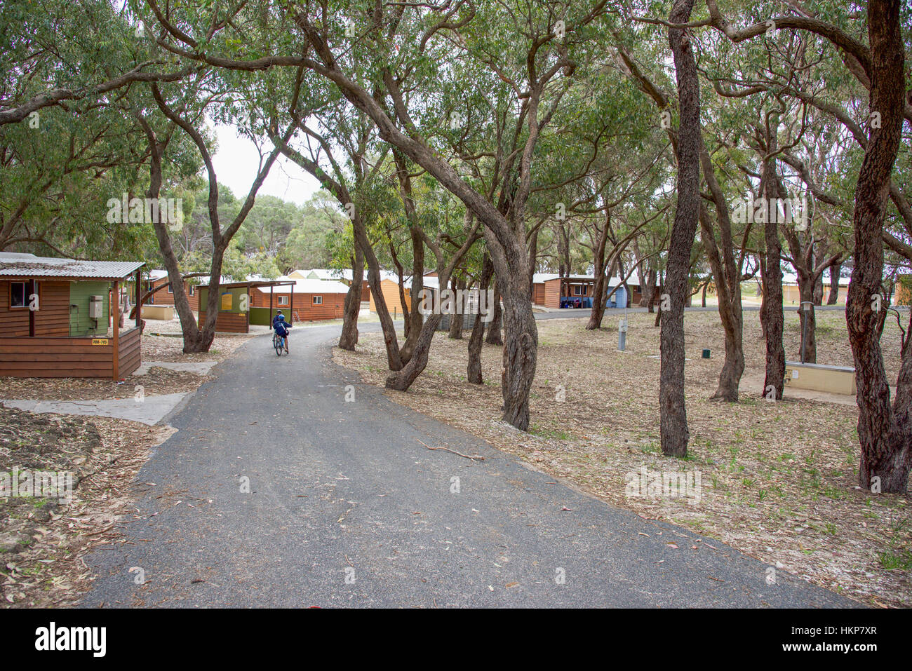 Rottnest Island,WA,Australia-October 15,2016:Tourists bicycling through ...
