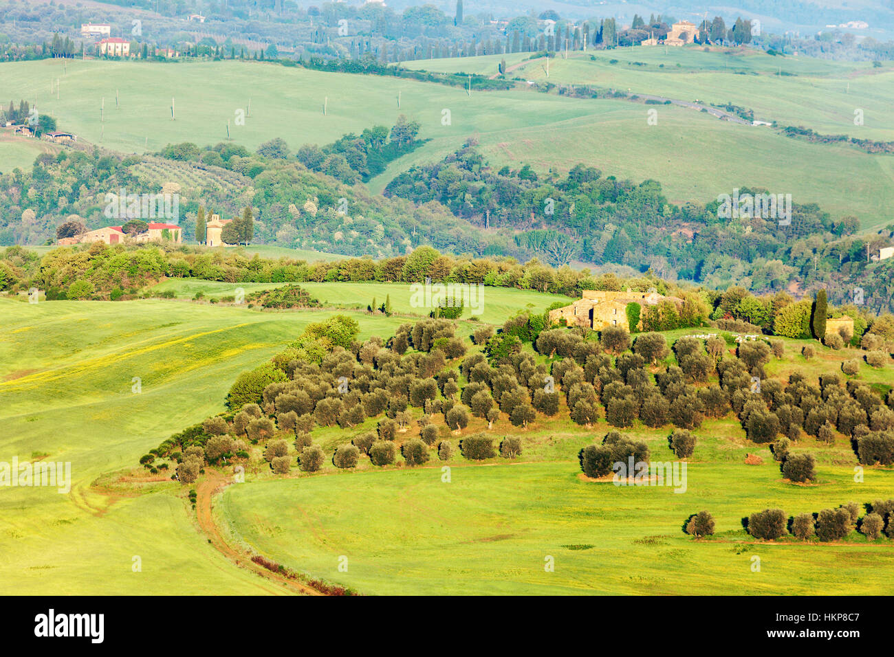 Green Tuscany landscape seen in the morning. Tuscany, Italy Stock Photo ...