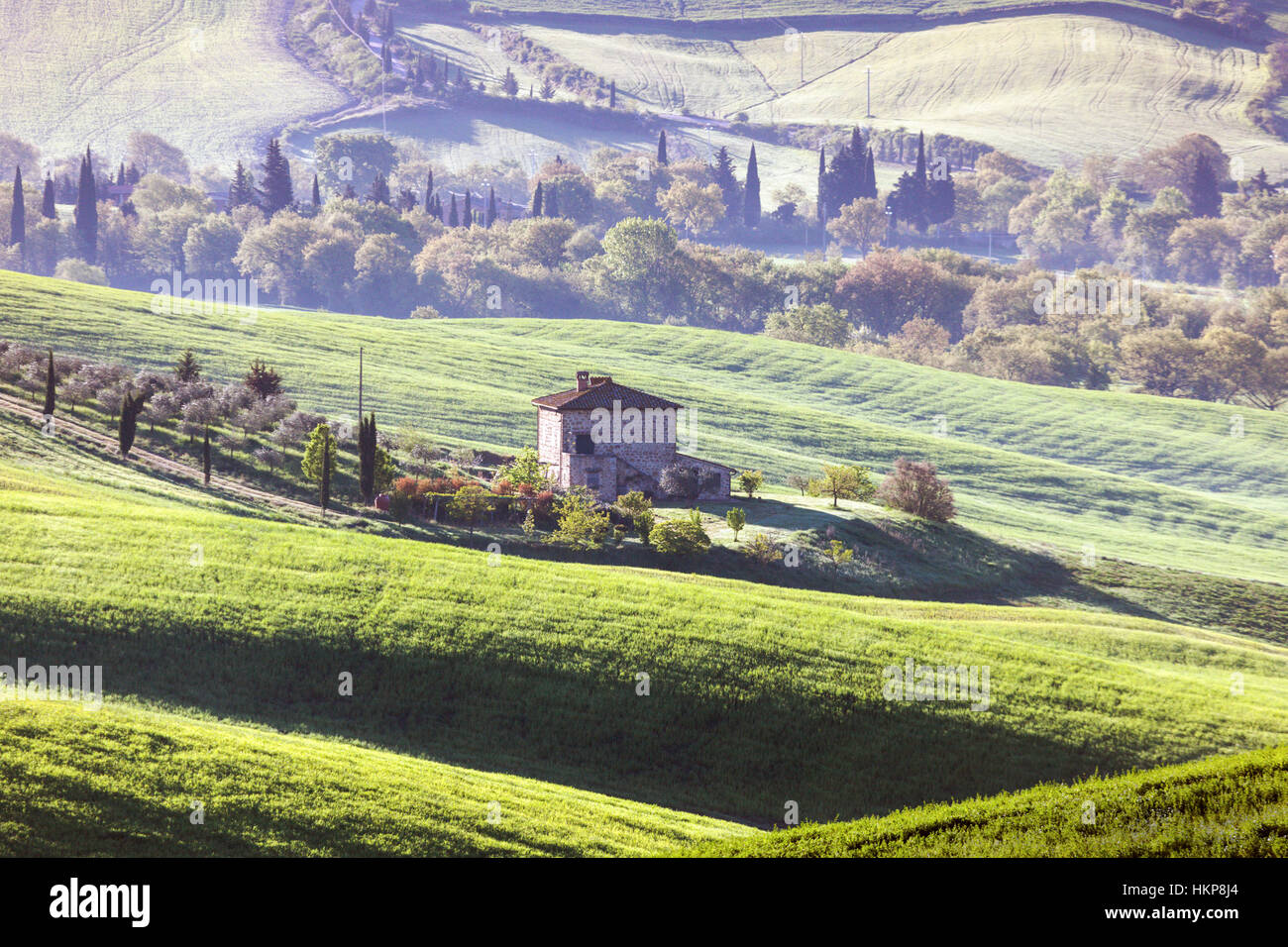 Tuscany landscape in the morning. Tuscany, Italy Stock Photo - Alamy