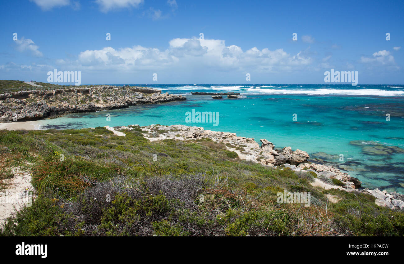 Reef, rock, flora and sea on the remote scenic coastline at Rottnest ...