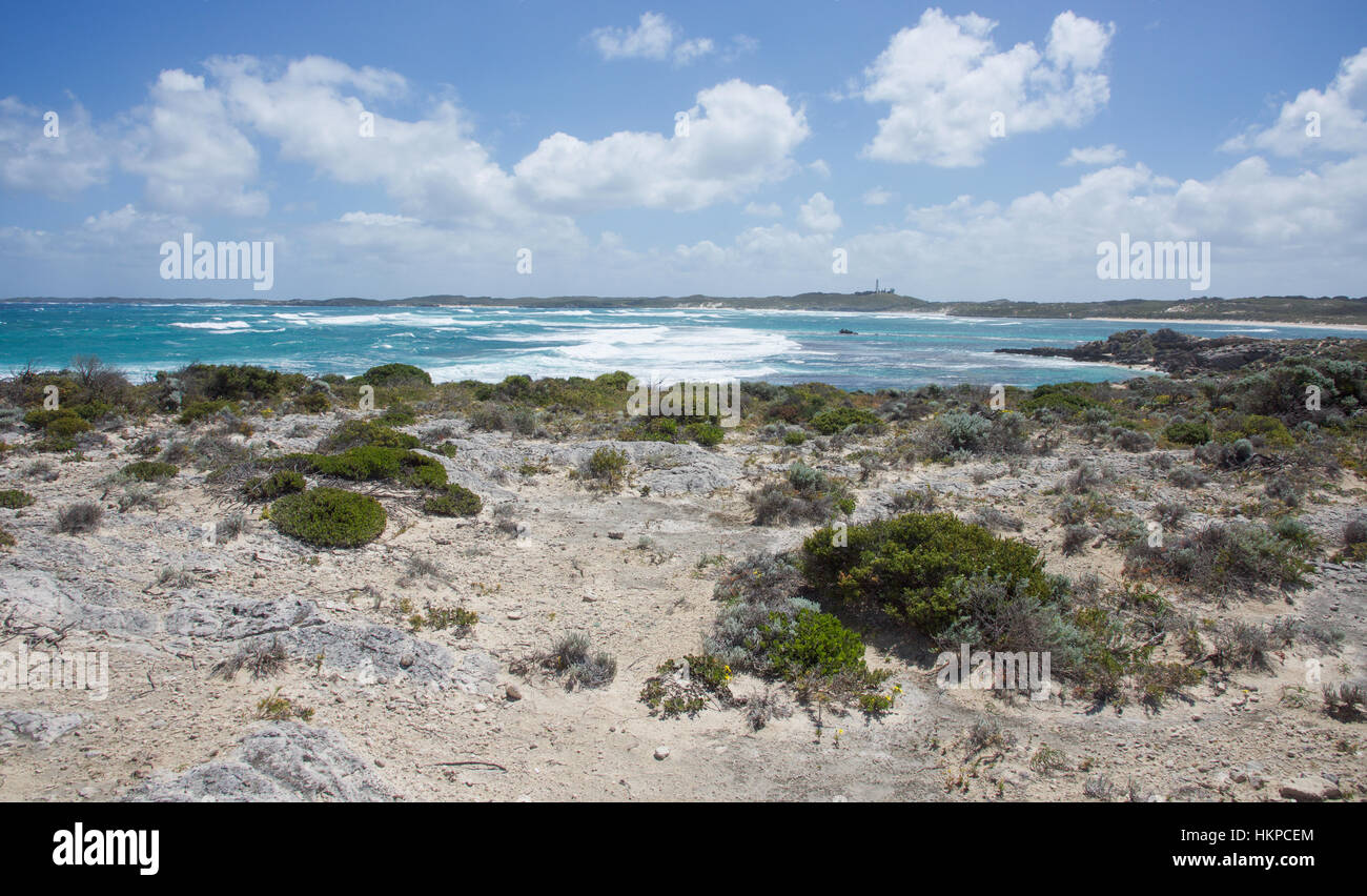 Limestone, native flora and Indian Ocean waves in the seascape at ...