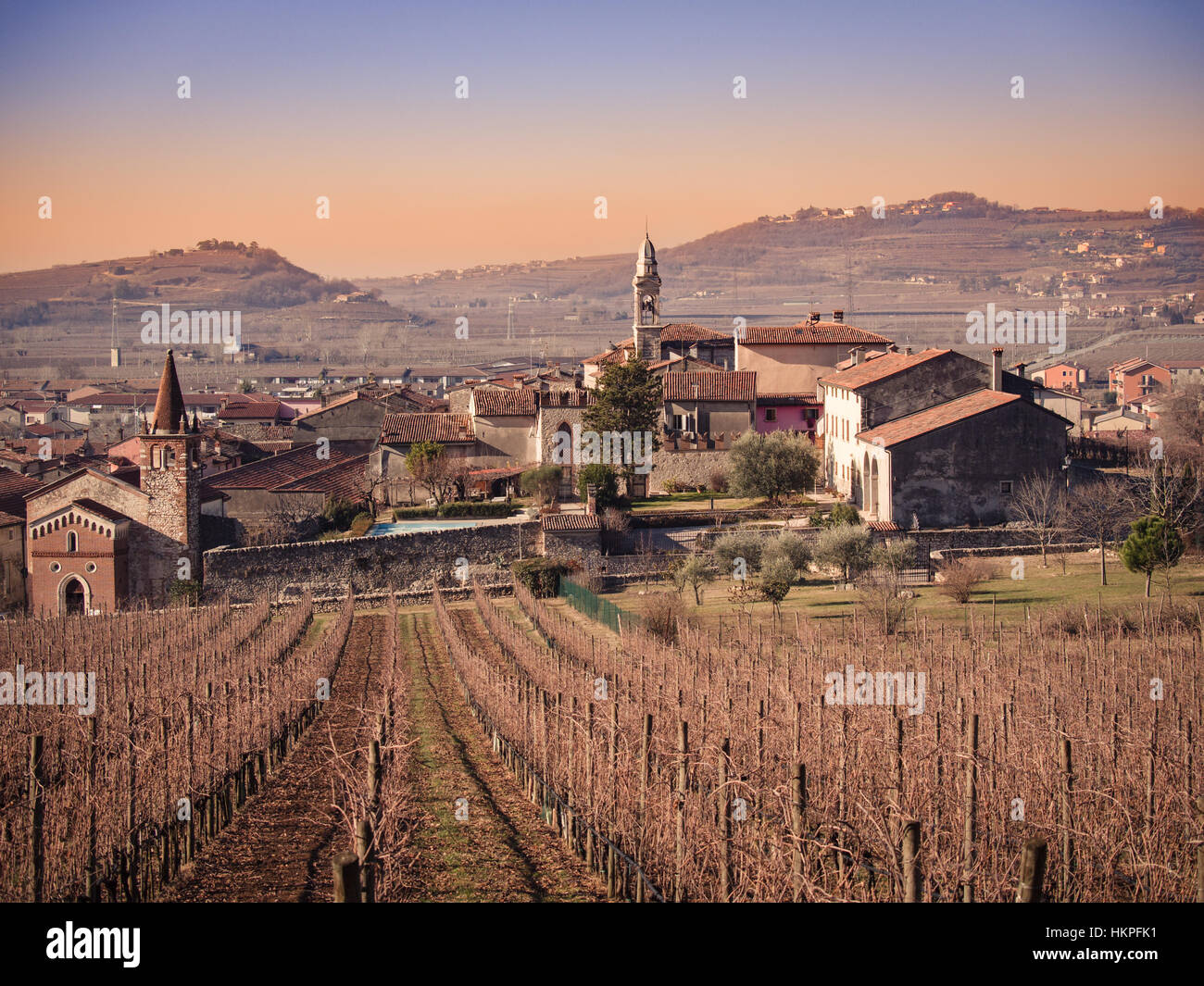 View of Soave (Italy) surrounded by vineyards that produce one of the ...