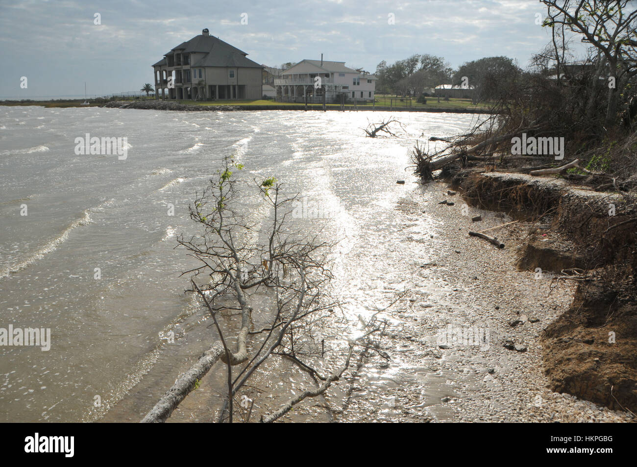 Coastal lowland at Pine Gully in Seabrook, Texas Stock Photo - Alamy