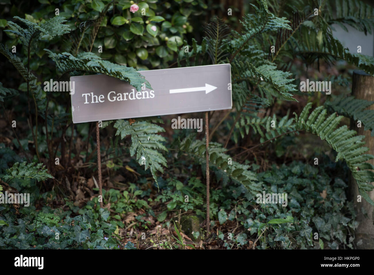 Lost Gardens of Heligan, Cornwall Stock Photo - Alamy