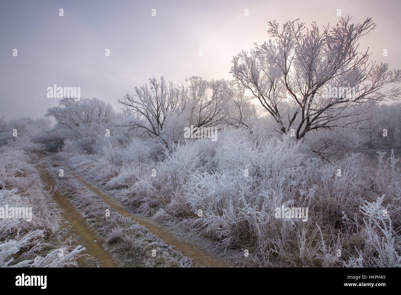 Frozen country by the lake with hoarfrost Stock Photo - Alamy