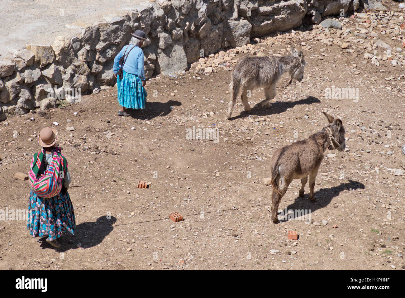 Native Aymara women with donkeys on Island of the Sun on Lake Titicaca ...