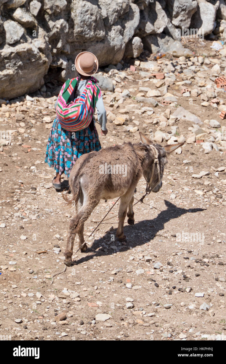 Native Aymara woman with donkeys on Island of the Sun on Lake Titicaca ...