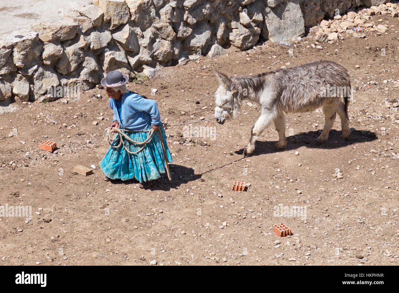 Native Aymara woman with donkeys on Island of the Sun on Lake Titicaca ...