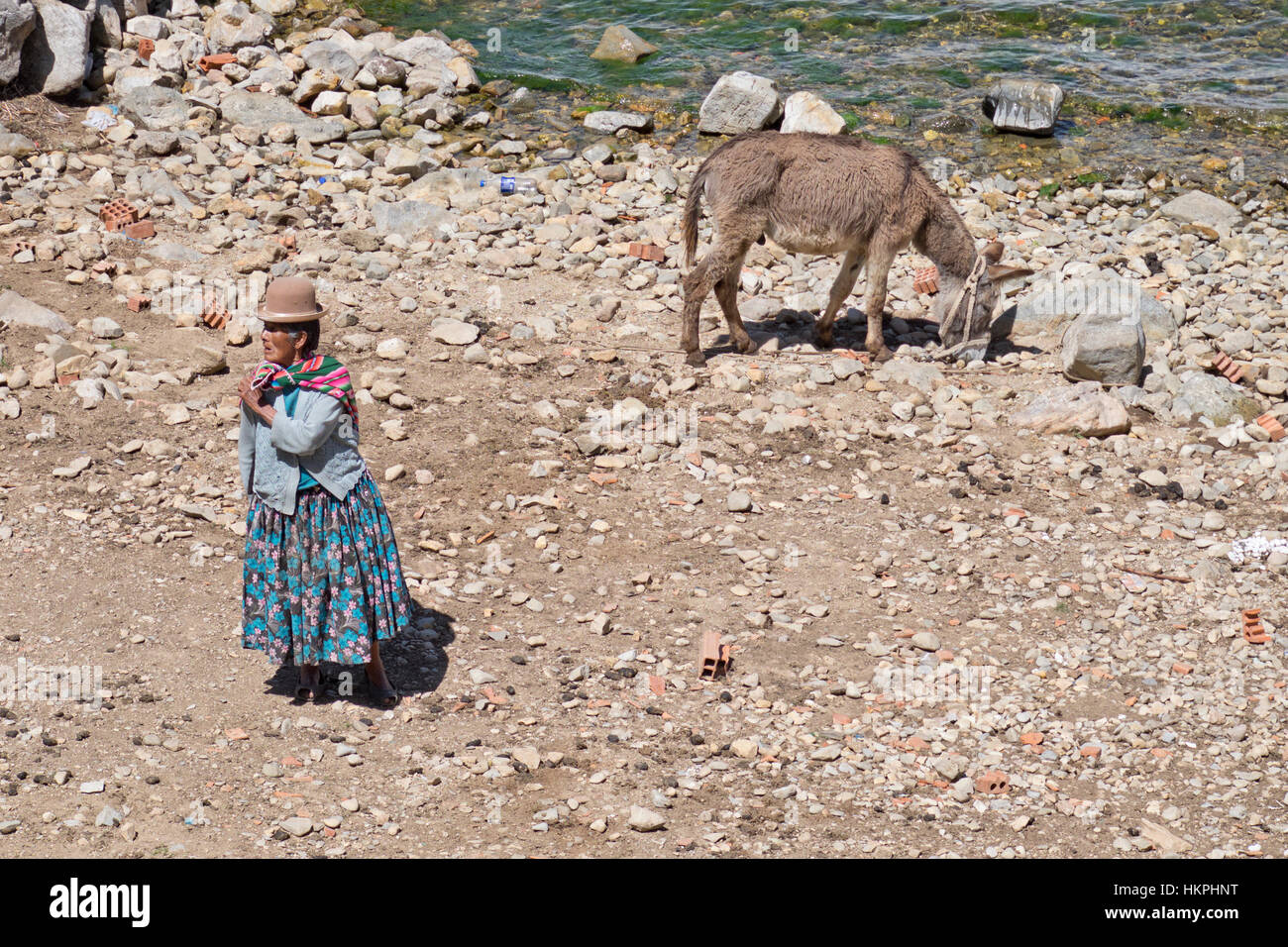 Native Aymara woman with donkeys on Island of the Sun on Lake Titicaca ...