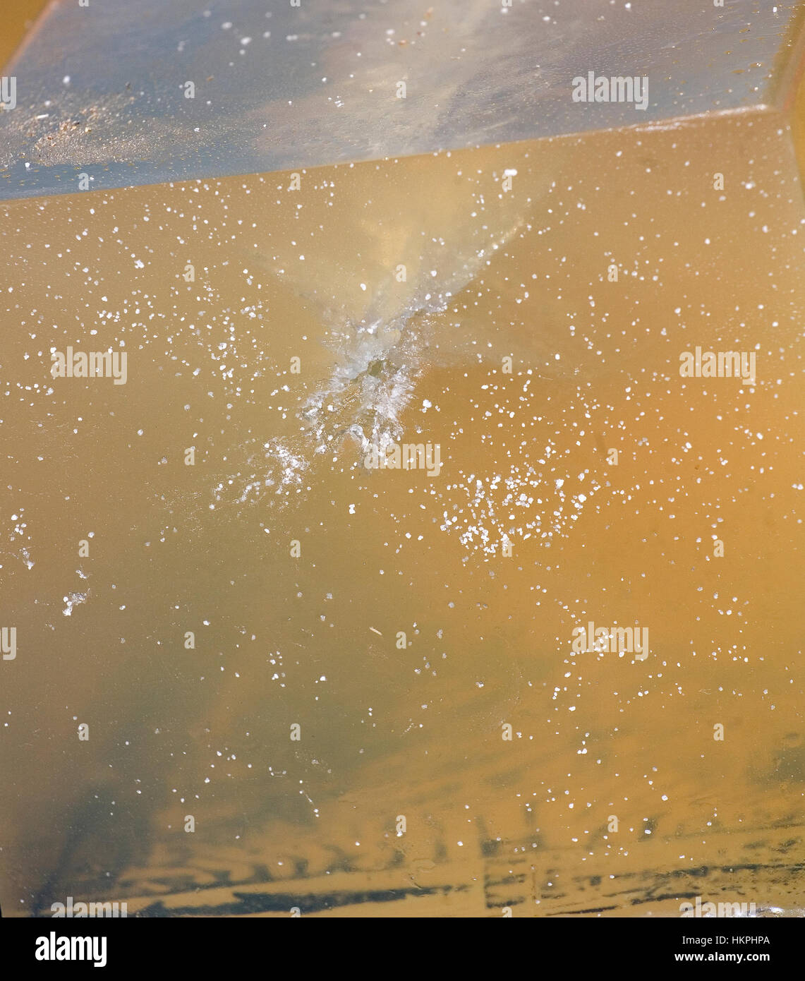 Gelatin for testing terminal bullet performance after a shotgun blast ...