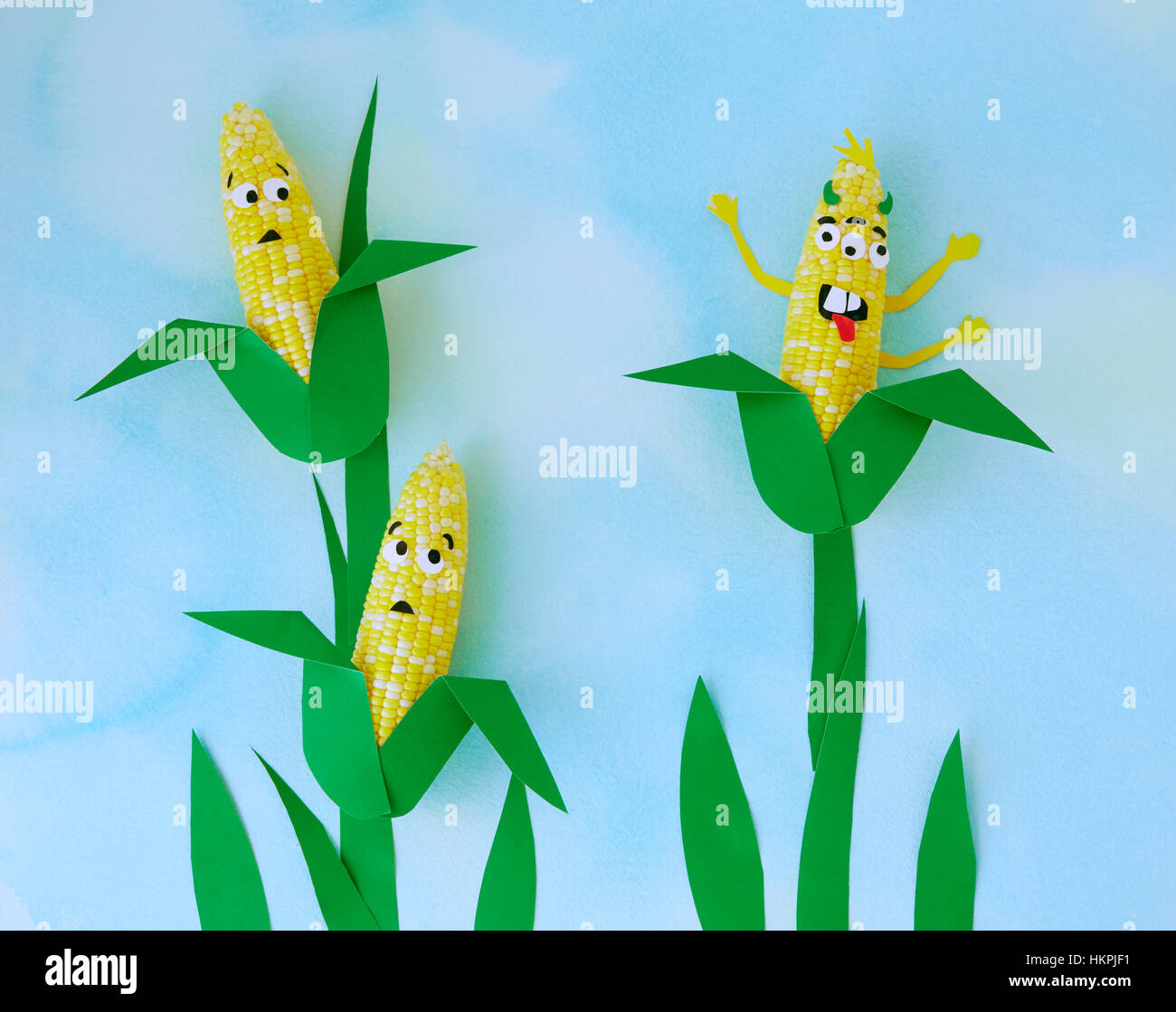 Heirloom corn hi-res stock photography and images - Alamy